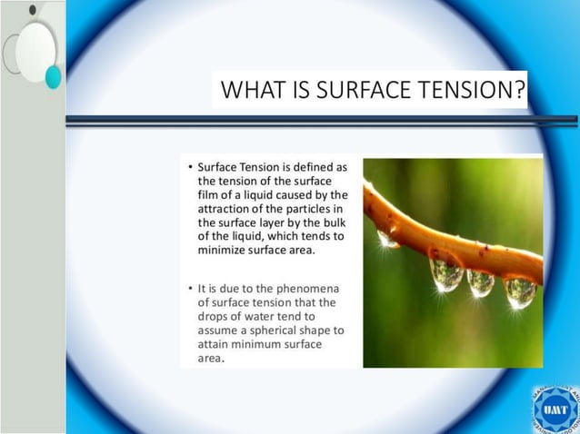 Surface tension. | PPTX | Lung and Respiratory Health | Diseases and ...
