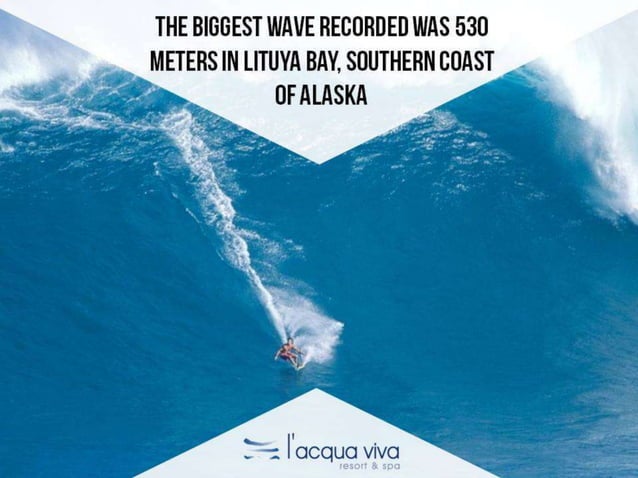 Random Facts about Surfing | PPT