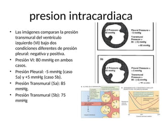 Interacciones Cardiopulmonares .pulmon corazon | PPTX