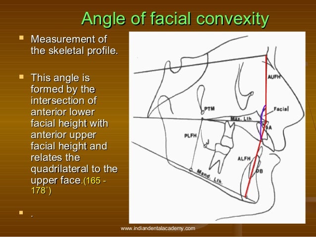 Surgical analysis in orthodontics /certified fixed orthodontic course…