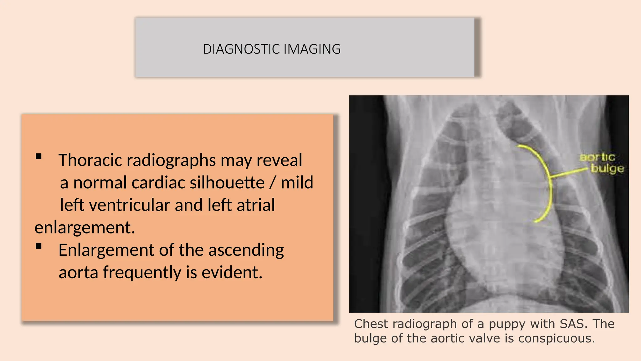 Surgeries of cardiovascular system in dogs.pptx