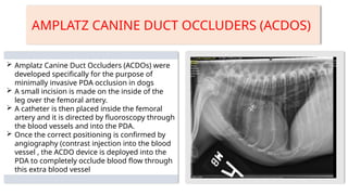 Surgeries of cardiovascular system in dogs.pptx