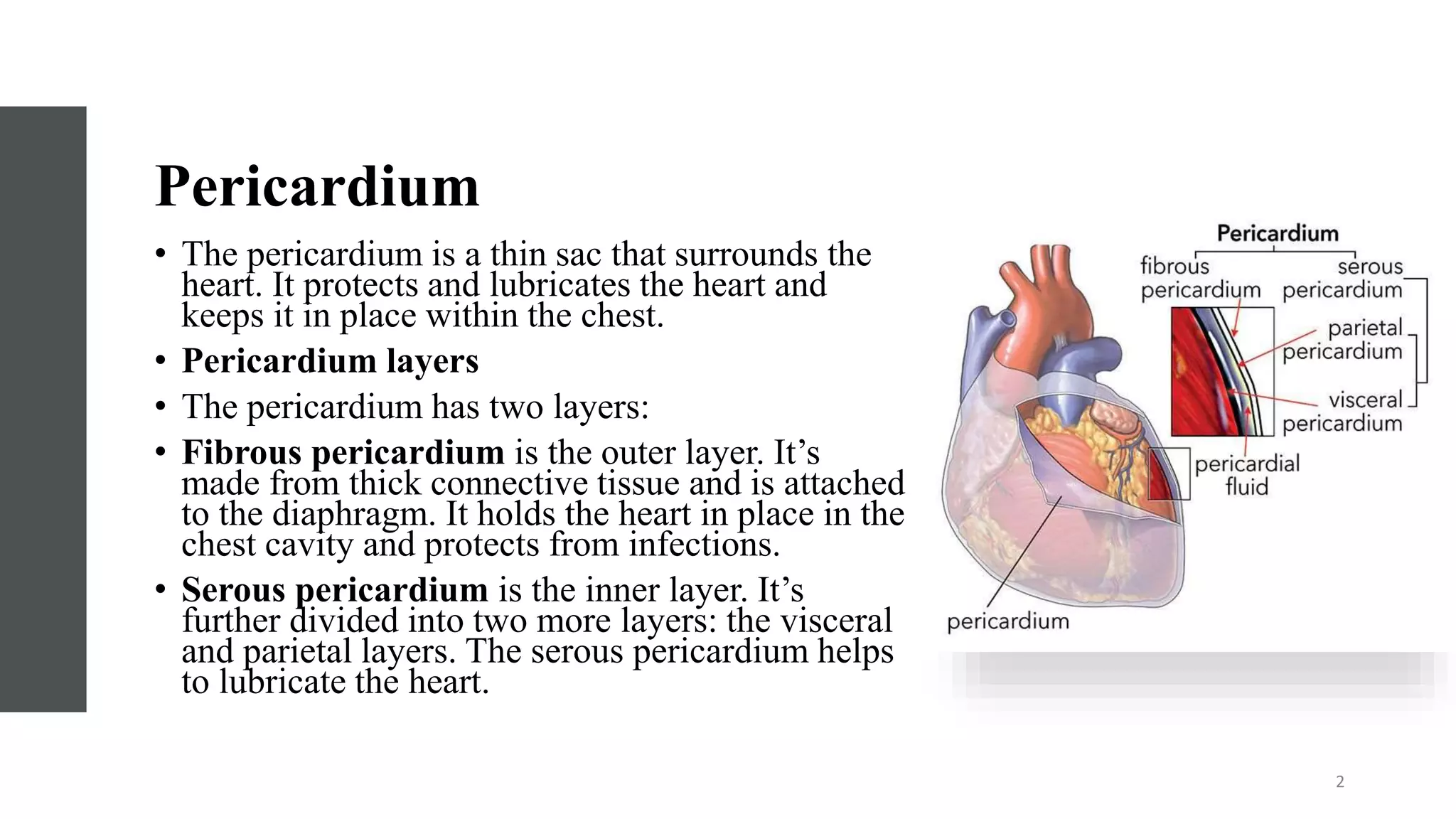 Surgeries of pericardiun | PPTX
