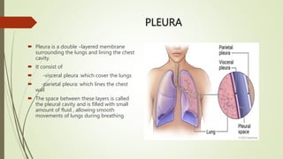Surgeries of pleura and intercostal catheter | PPTX