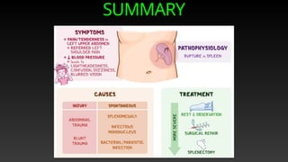 SURGERY.ppt.SPLEEN INJURY HAS MADE EASY IN SLIDES | PPT