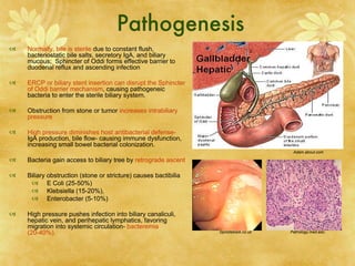 Surgery cholangitis[1] | PPT