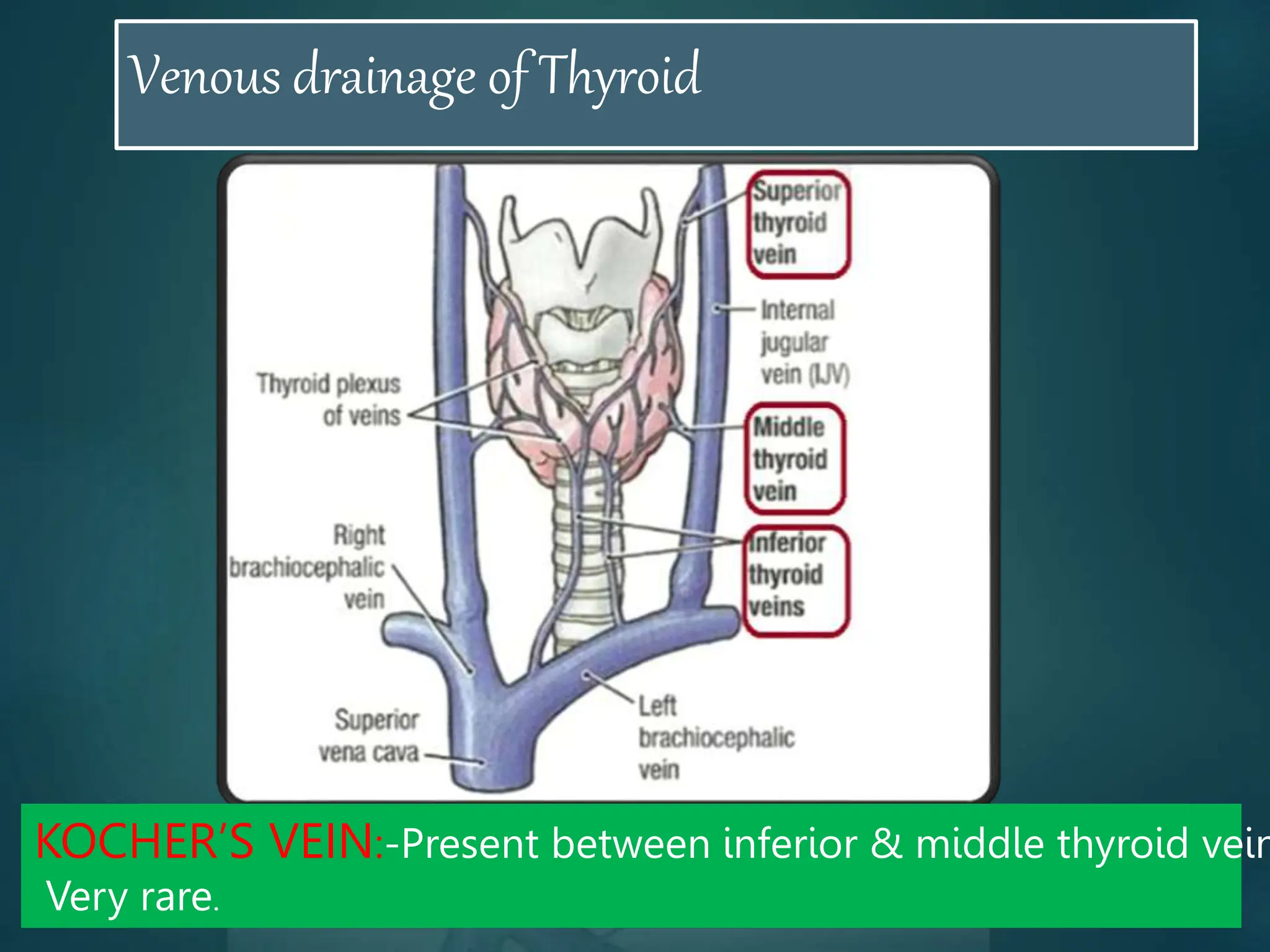 surgerythyroid diseases and it's management | PPT