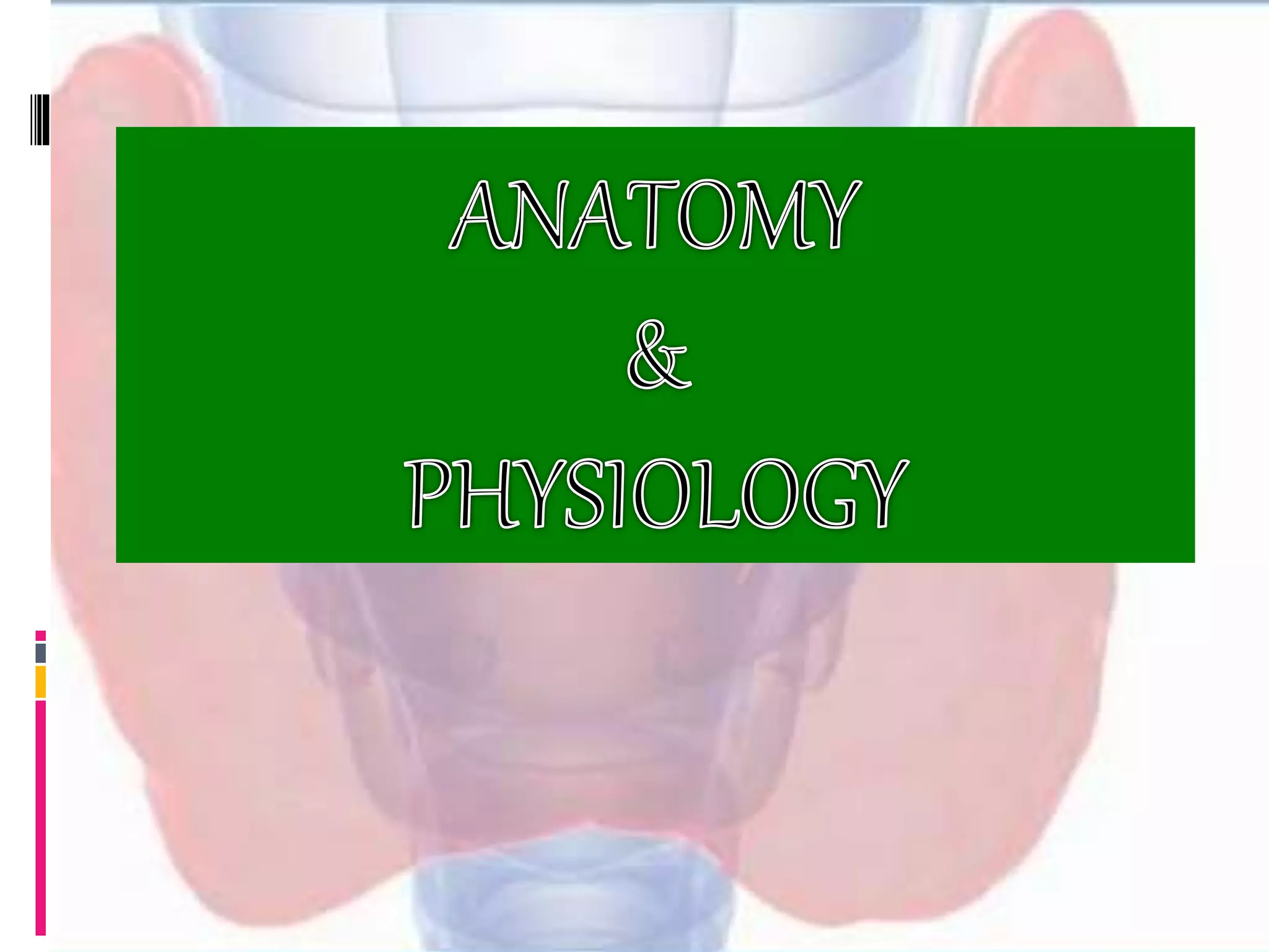 Surgery Thyroid Pptx