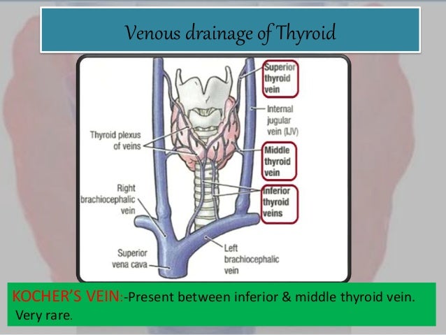 Surgery thyroid