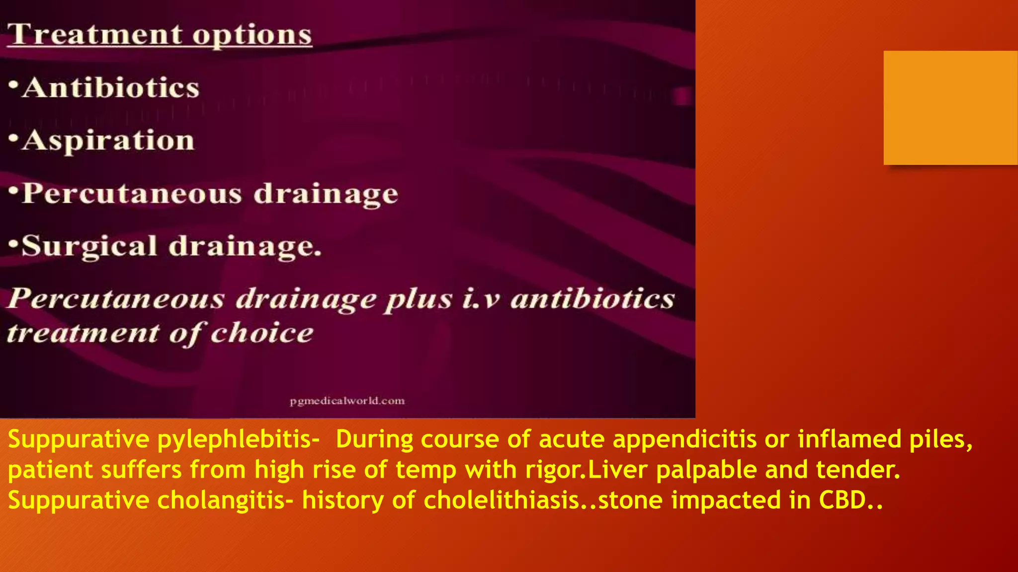 Pain In The Hypochondrium: Causes, Diagnosis, Treatment – LEKPU