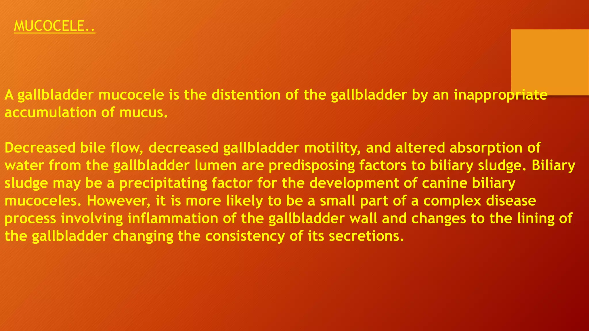 DIFFERENTIAL DIAGNOSIS OF SWELLINGS IN THE RIGHT HYPOCHONDRIUM AND ITS ...