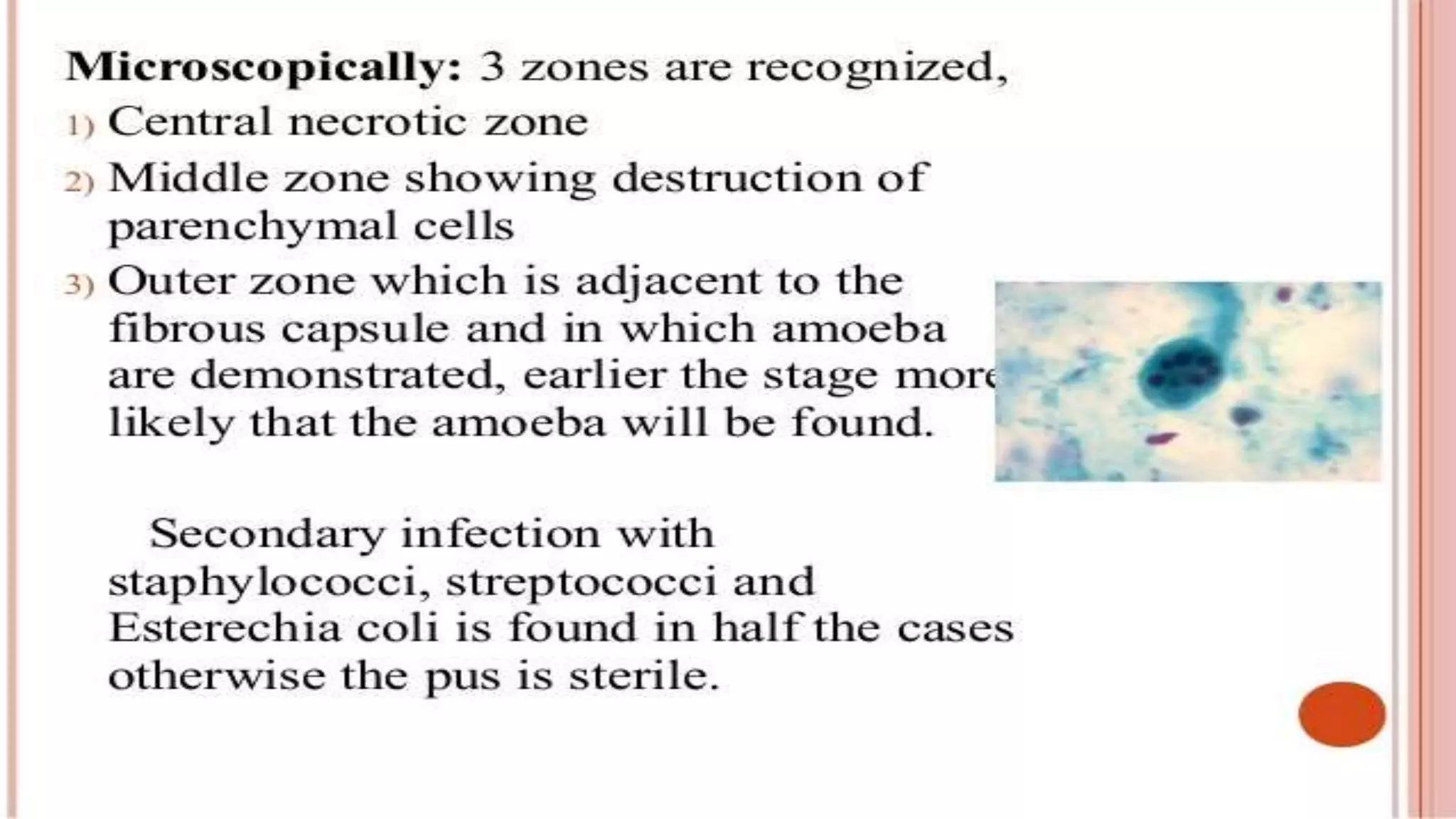 DIFFERENTIAL DIAGNOSIS OF SWELLINGS IN THE RIGHT HYPOCHONDRIUM AND ITS ...