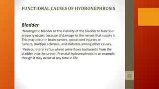 DIFFERENTIAL DIAGNOSIS OF SWELLINGS IN THE RIGHT HYPOCHONDRIUM AND ITS ...
