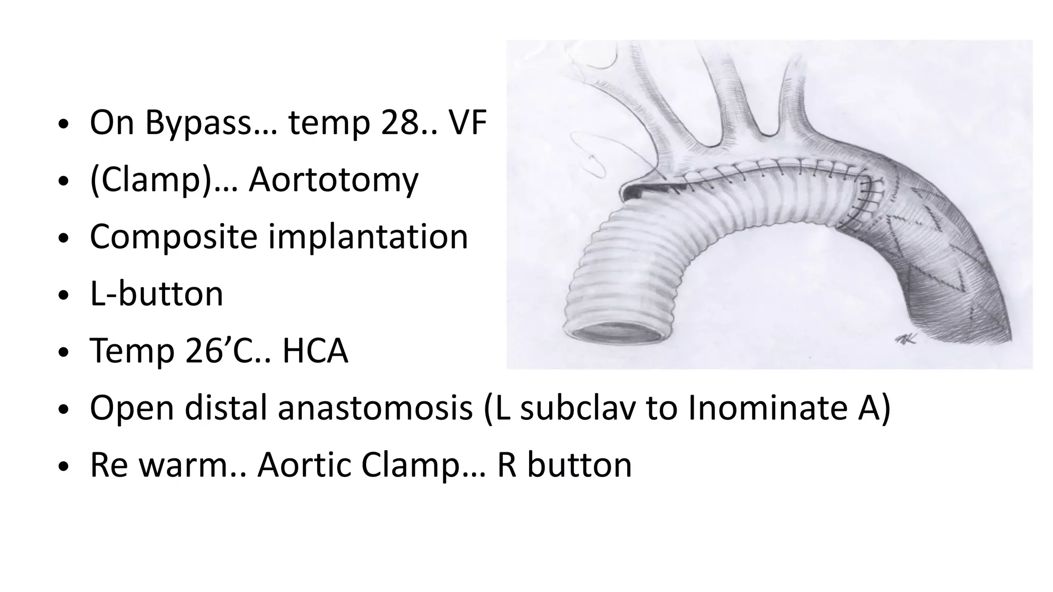 SurgeryDissection.pdf