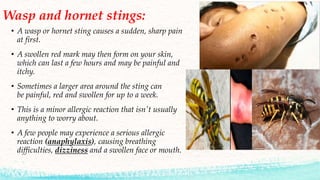 Surgery insects bites | PPTX | Infectious Diseases | Diseases and ...
