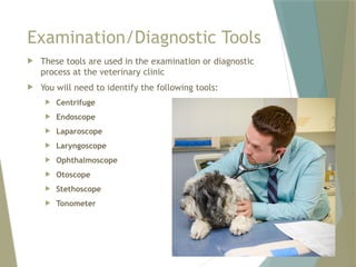 Surgery instrument.pptx veterinary surgery | PPTX