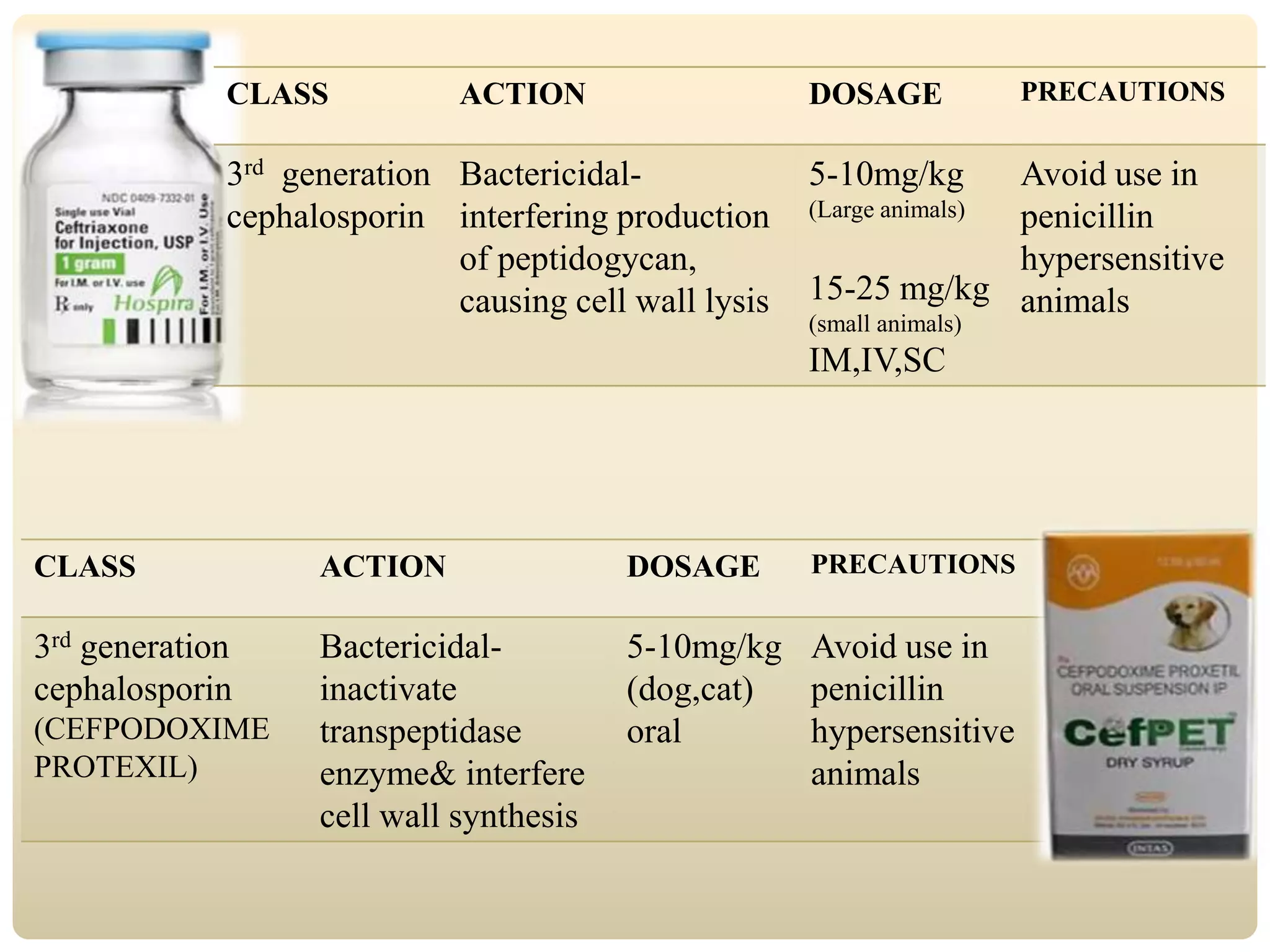Antibiotic therapy in veterinary surgey | PPTX