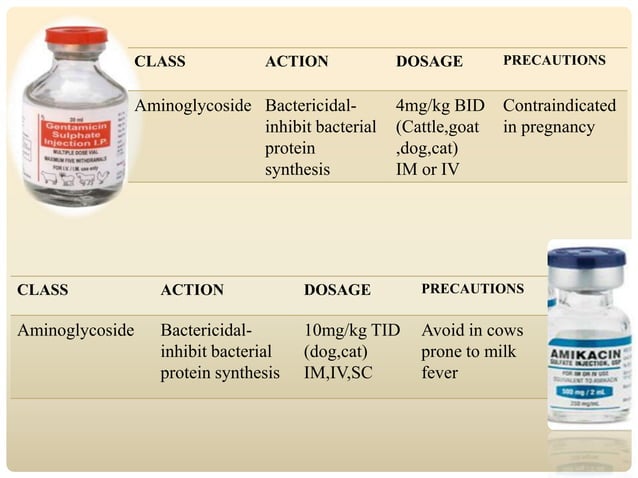 Antibiotic therapy in veterinary surgey | PPTX