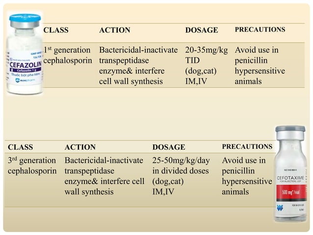 Antibiotic therapy in veterinary surgey | PPTX