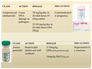 Antibiotic therapy in veterinary surgey | PPTX