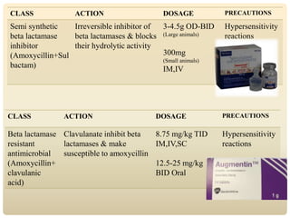 Antibiotic therapy in veterinary surgey | PPTX