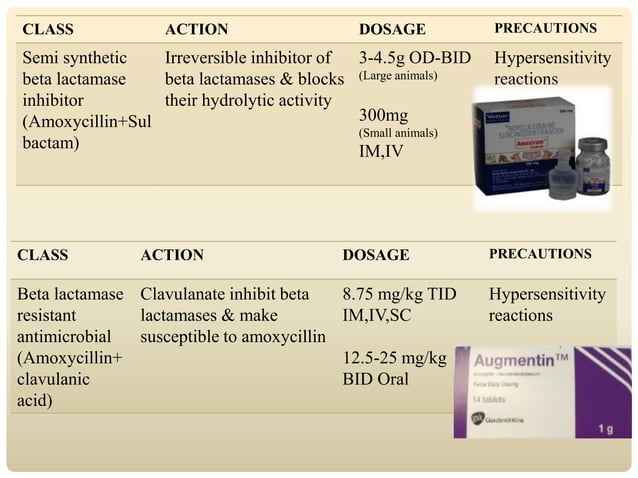Antibiotic therapy in veterinary surgey | PPTX