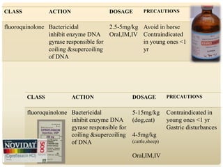 Antibiotic therapy in veterinary surgey | PPTX