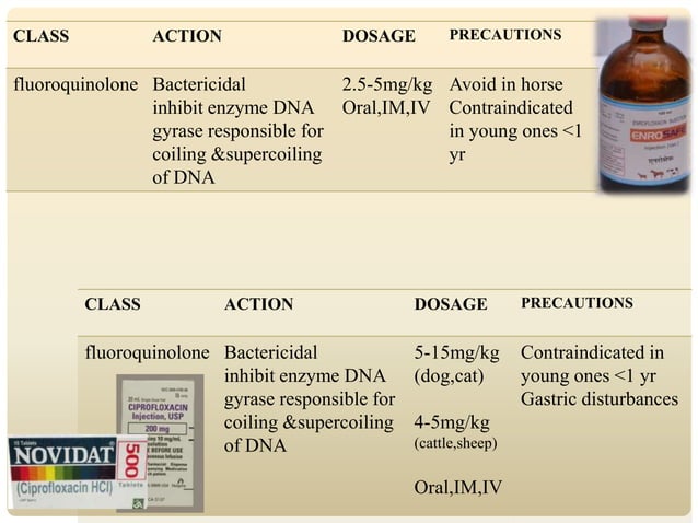 Antibiotic therapy in veterinary surgey | PPTX