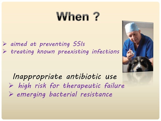 Antibiotic therapy in veterinary surgey | PPTX