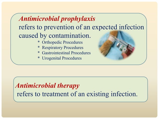 Antibiotic therapy in veterinary surgey | PPTX