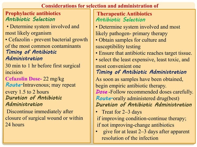 Antibiotic therapy in veterinary surgey | PPTX