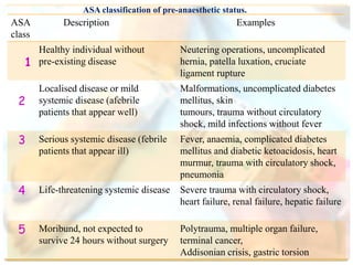 Antibiotic therapy in veterinary surgey | PPTX