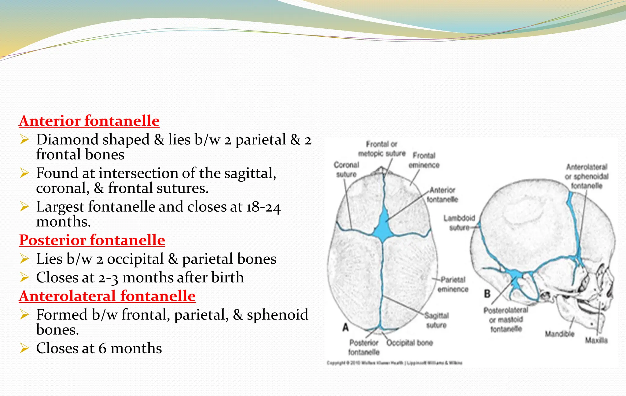 SURGERY OF CRANIOFACIAL ANOMALIES.pptx