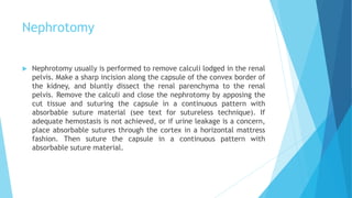 Surgery of renal/ urinary system | PPTX