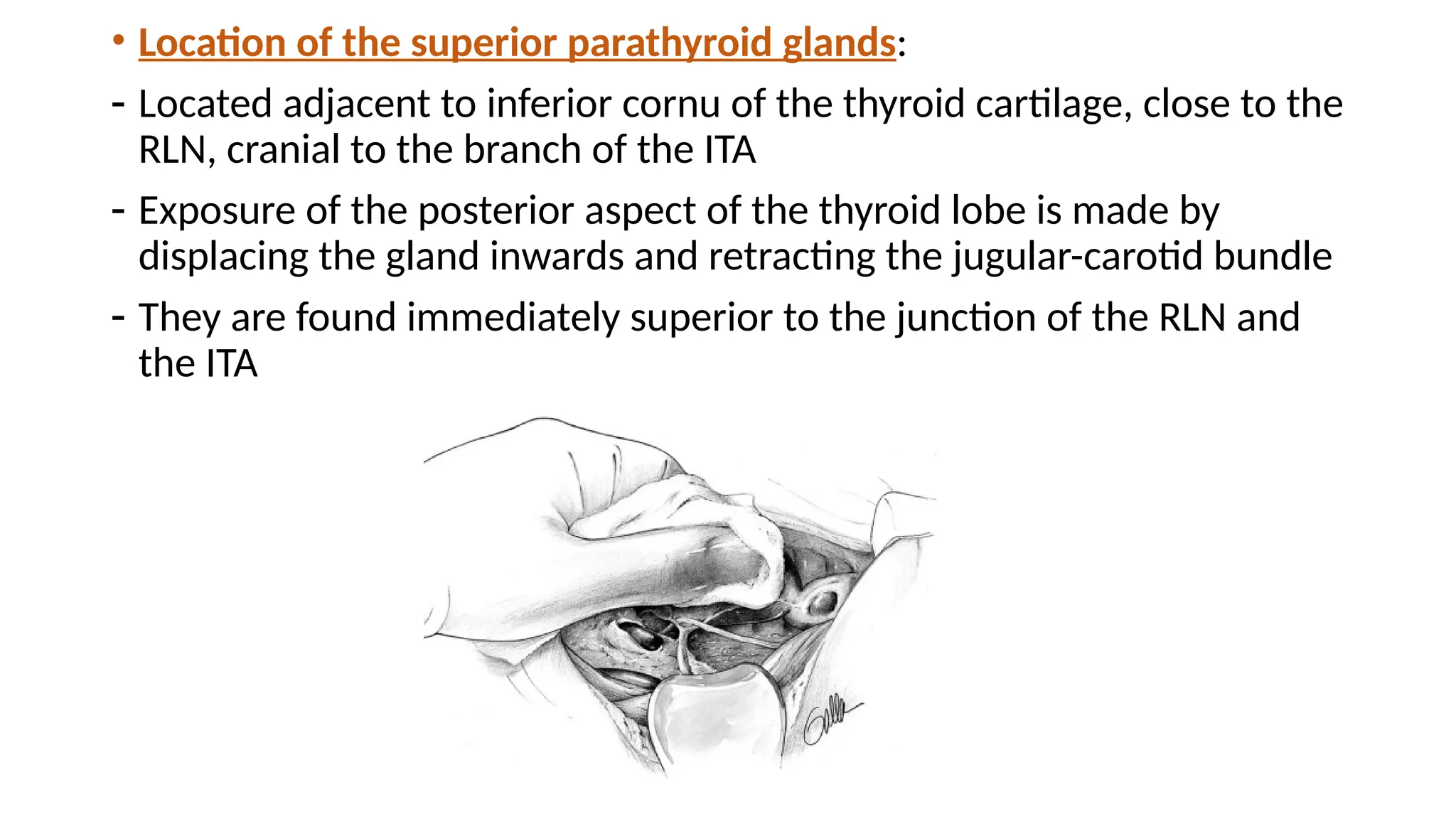 SURGERY OF THYROID AND PARATHYROID GLAND.pptx