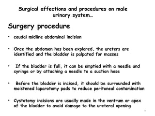 Surgery of Urogenital tract.pptxhhjghhhhhg | PPTX