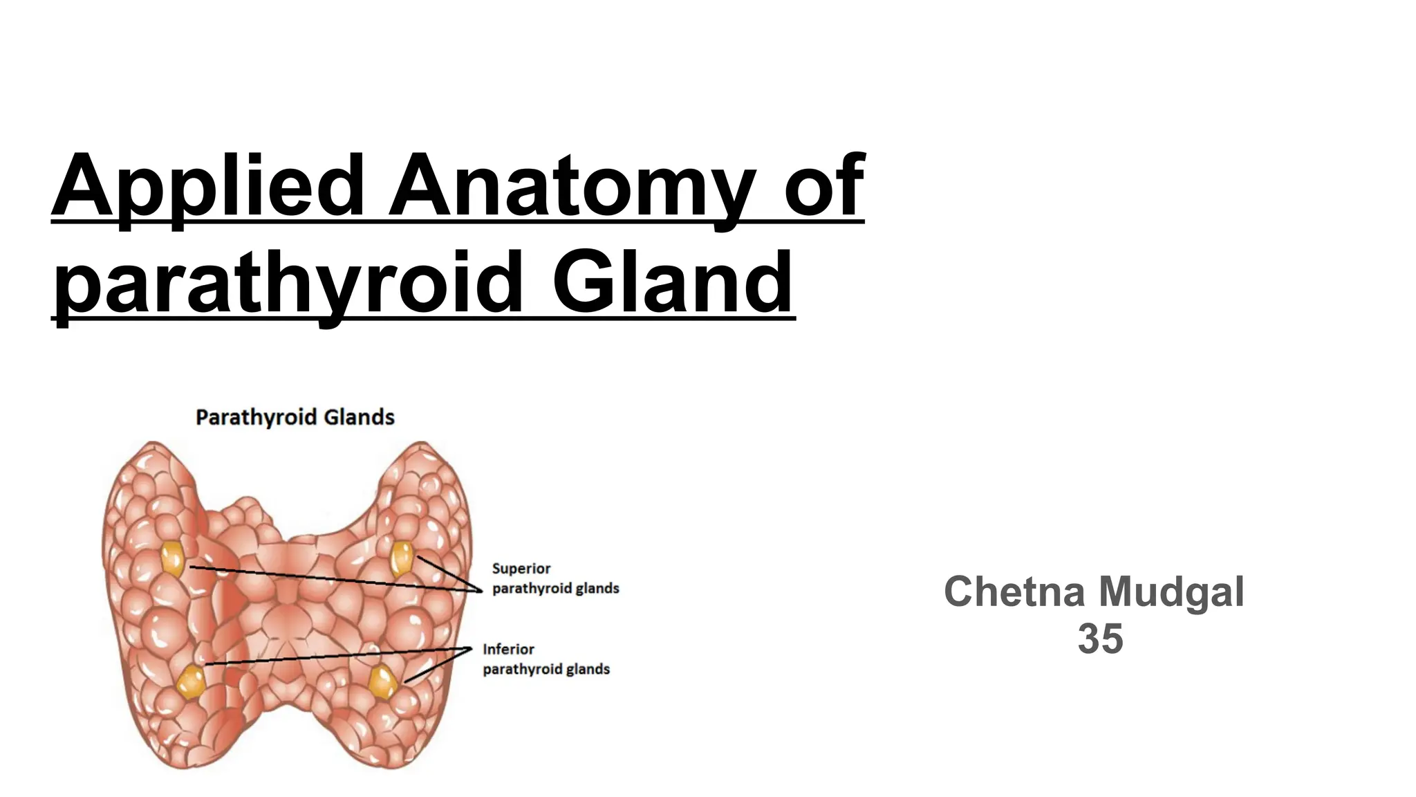 Surgery parathyroid gland applied anatomy.pptx