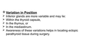 Surgery parathyroid gland applied anatomy.pptx