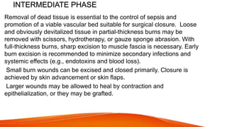 MANAGEMENT & TREATMENT OF BURN WOUND In Animals | PPTX