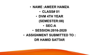 MANAGEMENT & TREATMENT OF BURN WOUND In Animals | PPTX