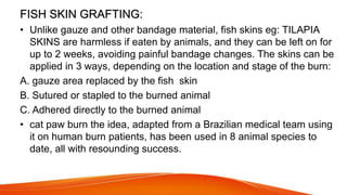 MANAGEMENT & TREATMENT OF BURN WOUND In Animals | PPTX