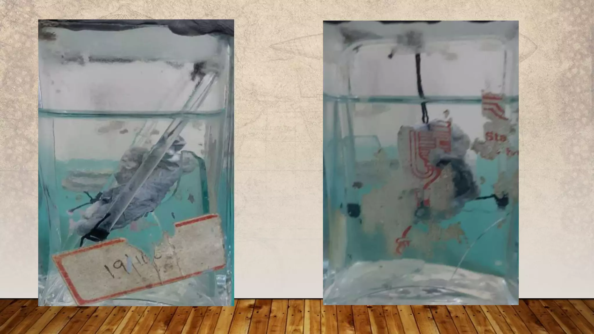 General surgery specimens | PPTX