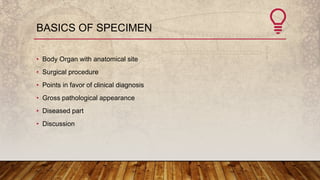 General surgery specimens | PPTX