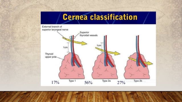 General surgery specimens | PPTX | Thyroid Disorders | Endocrine and ...