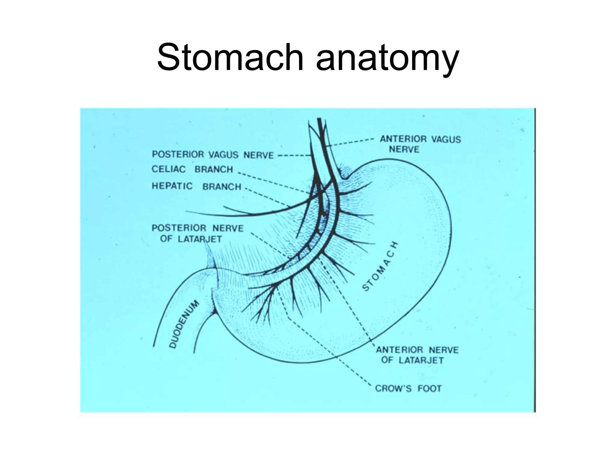 Surgery Stomach & Duodenum Tg | PPT
