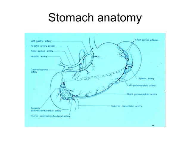 Surgery Stomach & Duodenum Tg | PPT | Digestive Disorders | Diseases ...