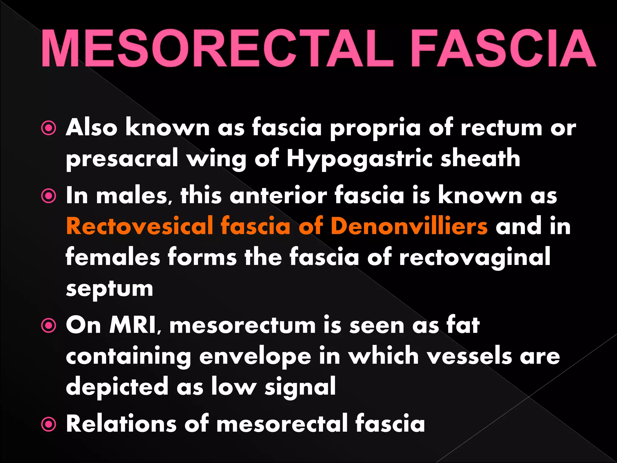Anatomy&Physiology of Rectum | PPTX