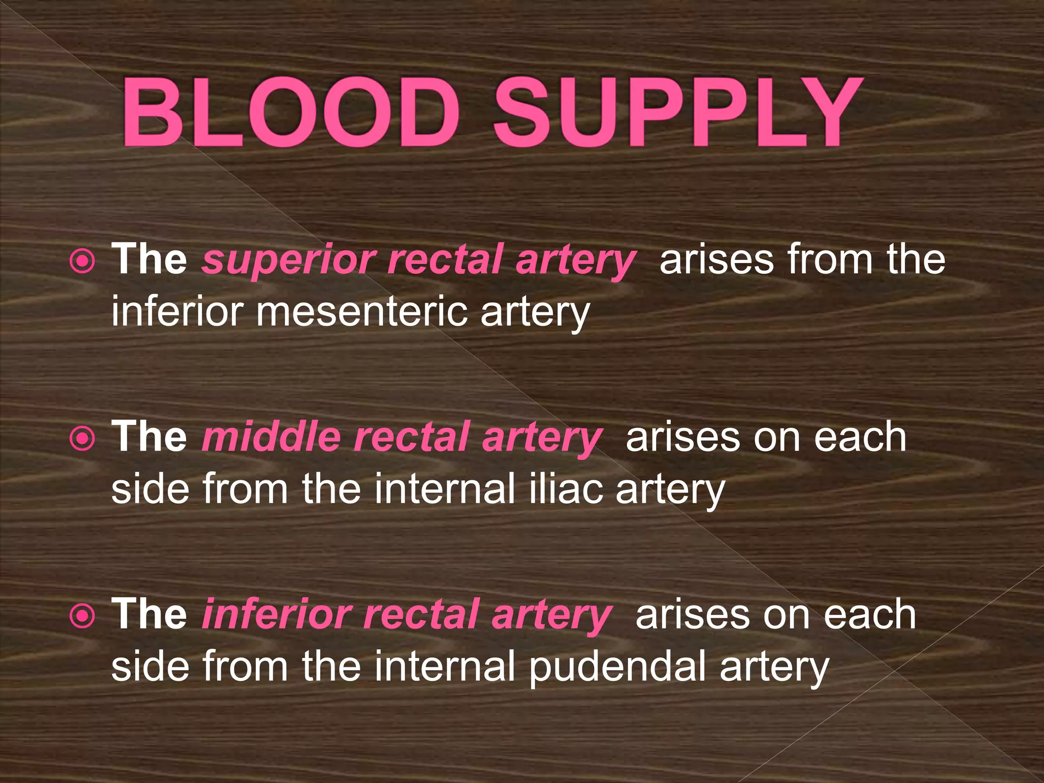 Anatomy&Physiology of Rectum | PPTX