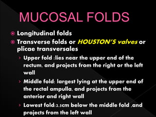 Anatomy&Physiology of Rectum | PPTX
