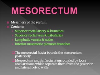 Anatomy&Physiology of Rectum | PPTX